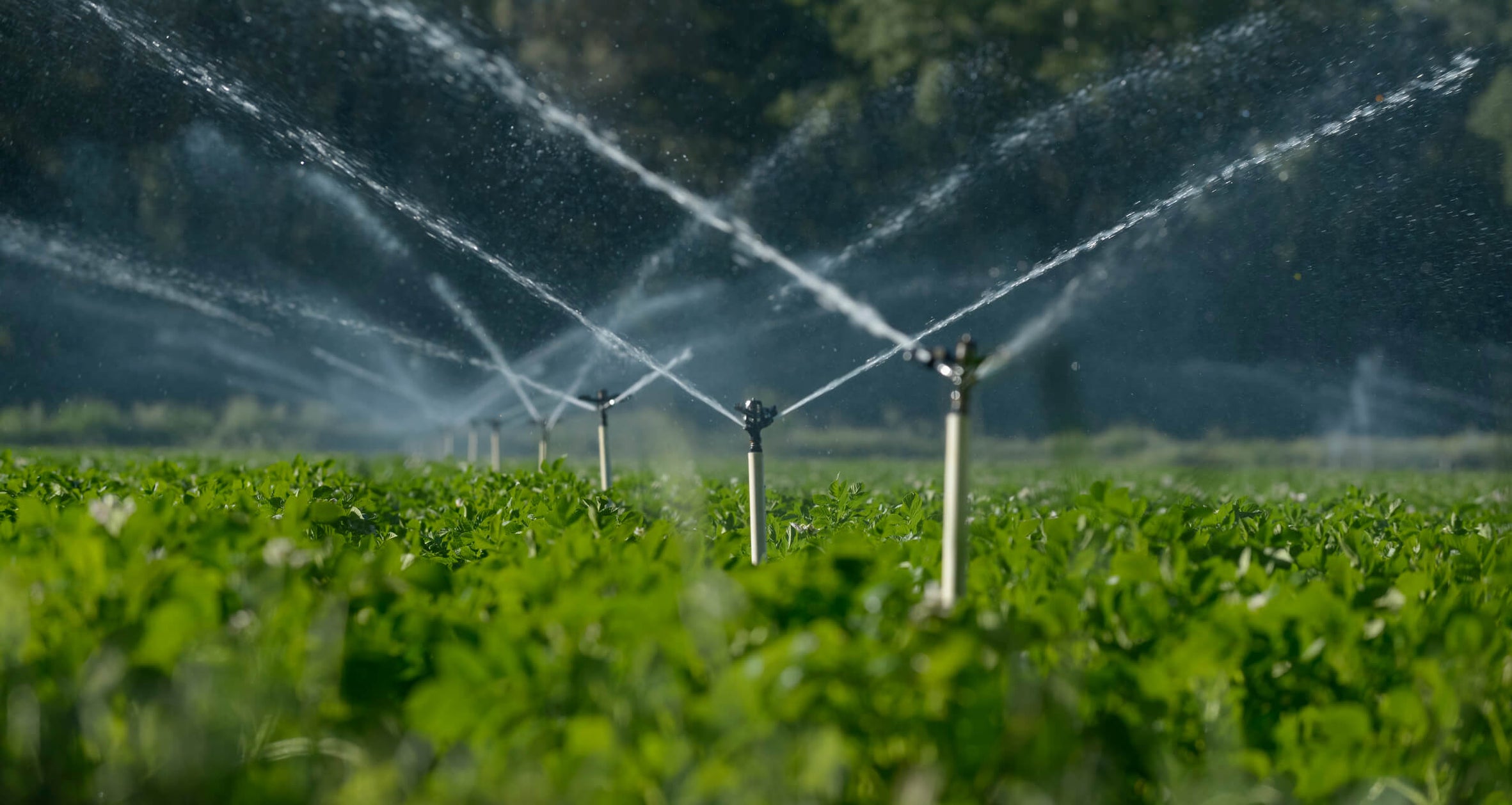 Irrigation Online | Leading Supplier of Irrigation Products NZ ...
